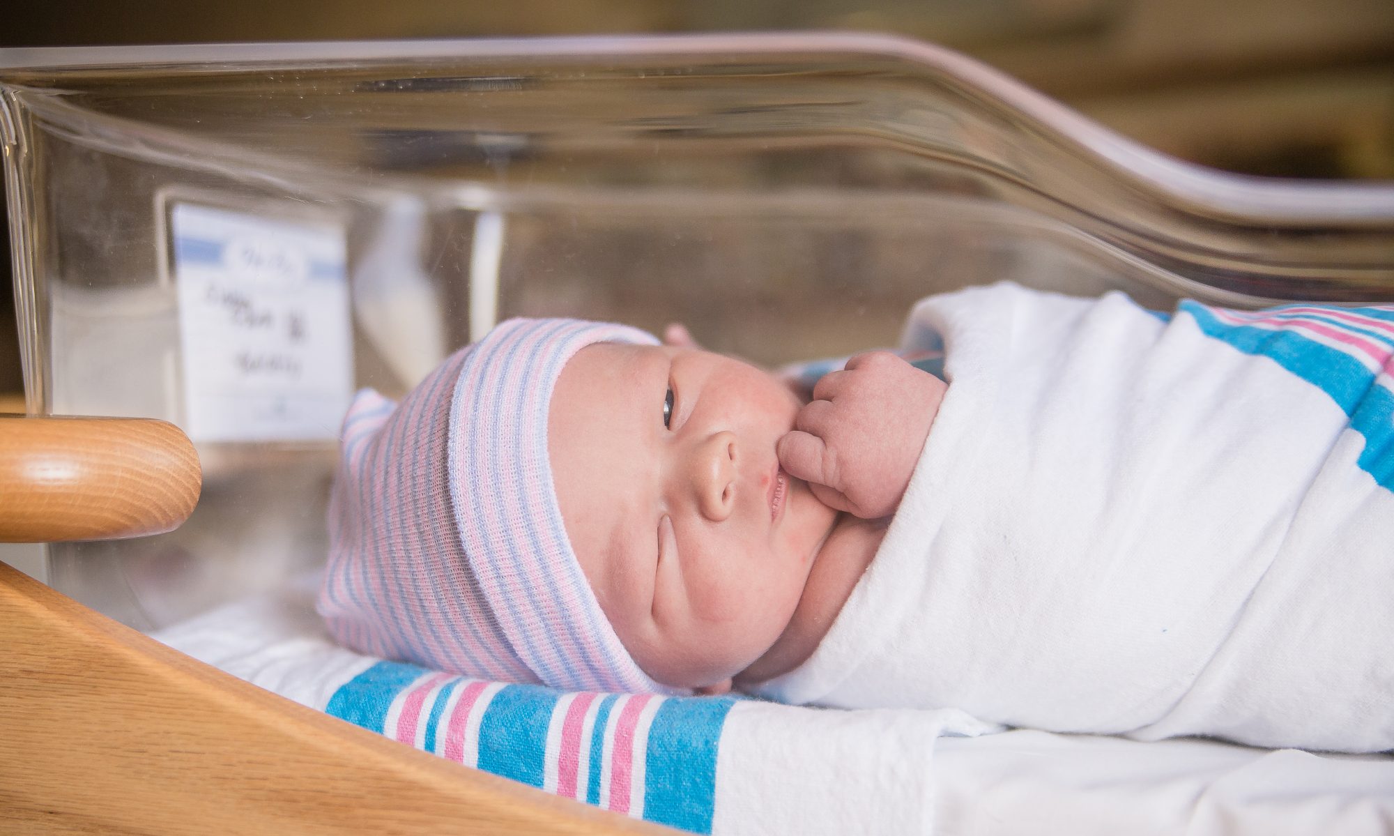 Shealy Photography – Professional Newborn, Child and Family Photography ...